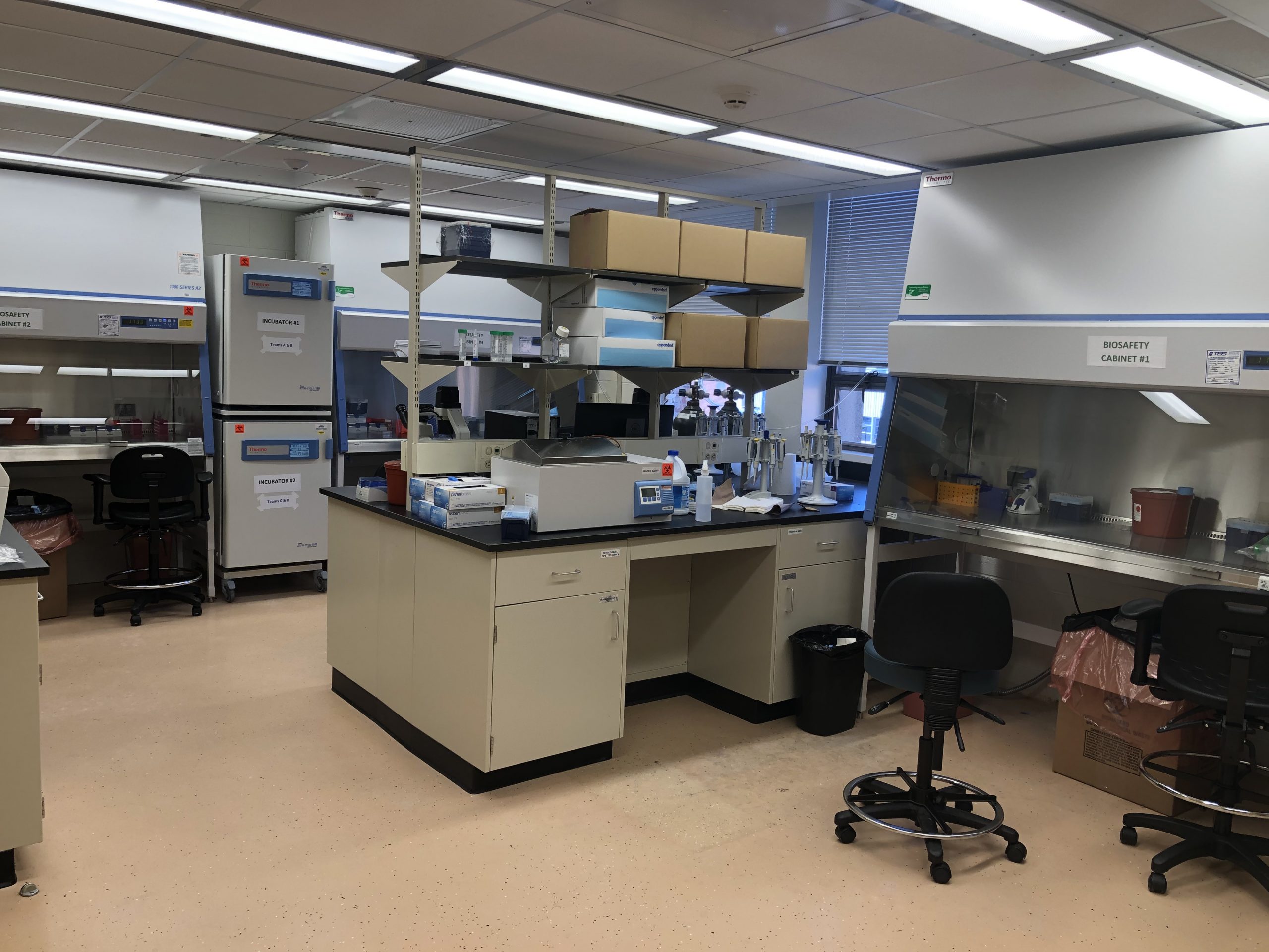 Teaching | Tissue Engineering Science and Technology Laboratory (TEST Lab)