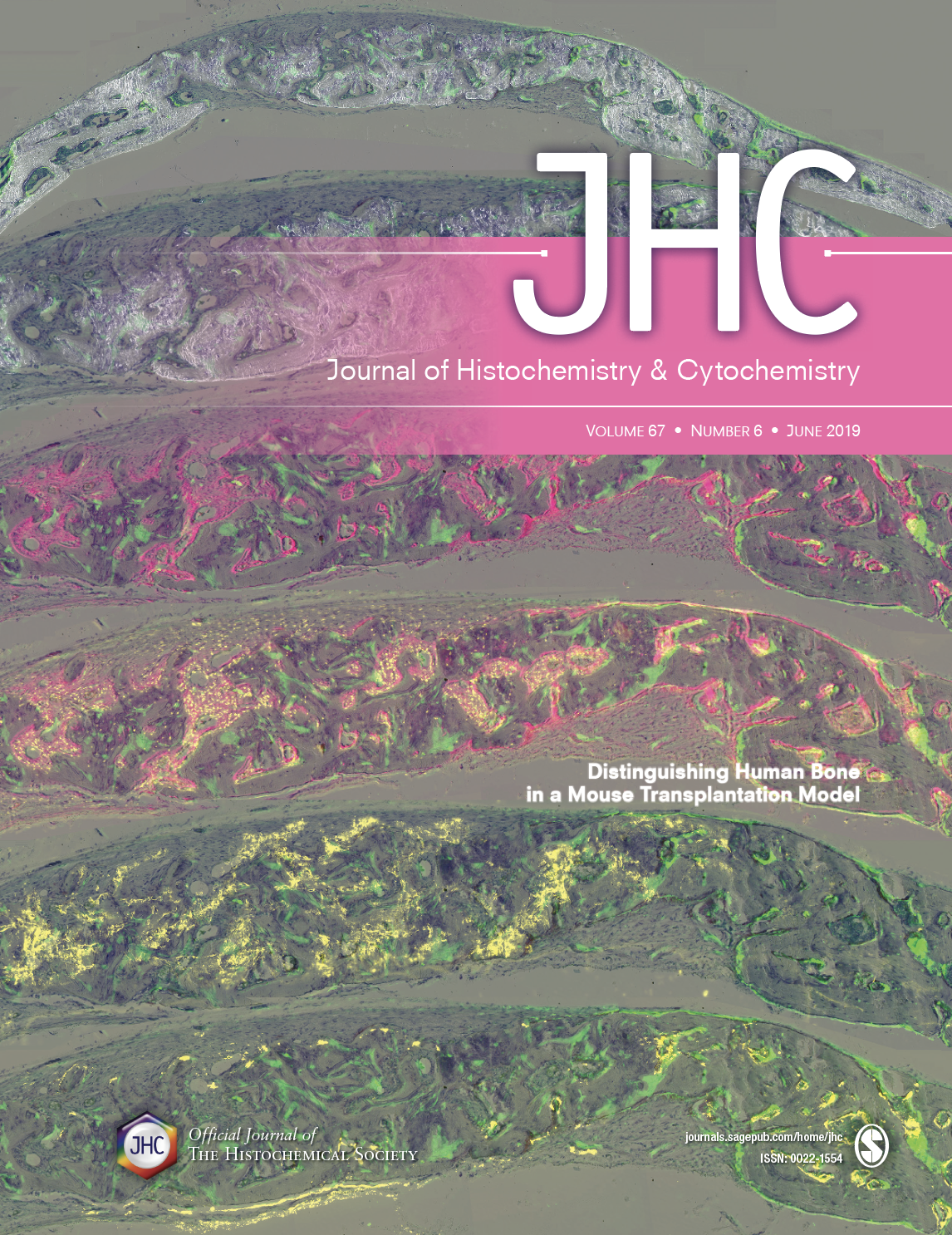 Publications | Tissue Engineering Science and Technology Laboratory ...